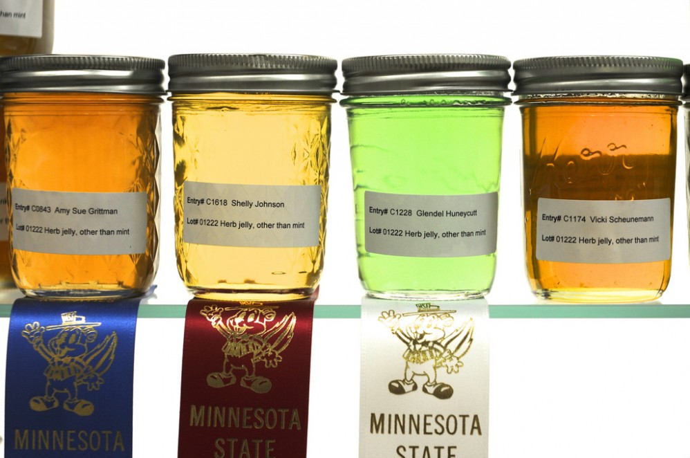 26 Moments At The Fair That Will Restore Your Faith In America