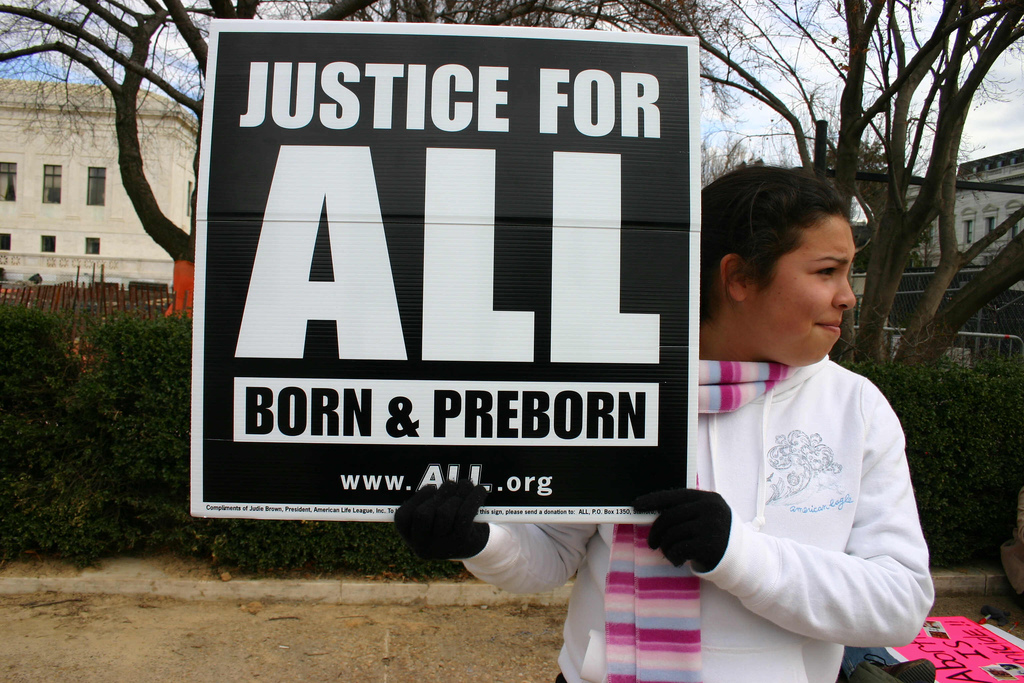 The Pro-Life Movement, Ballot Access, And The Case For The Party Of Life
