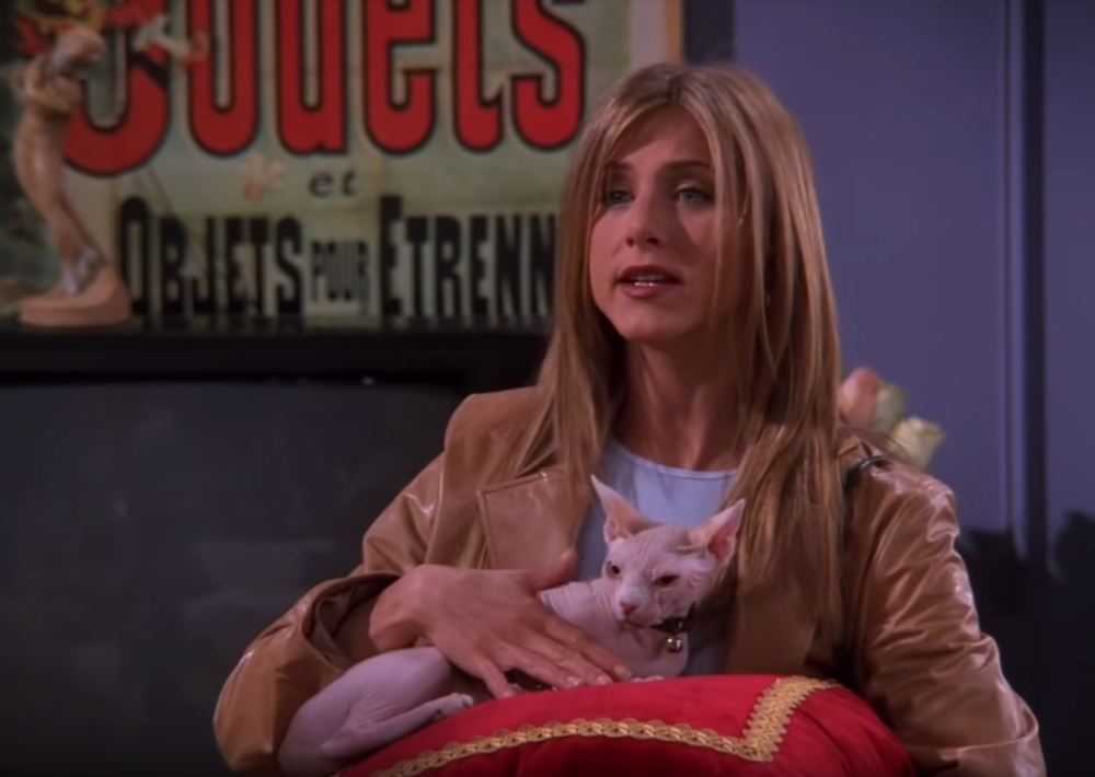 The Best Episode Of 'Friends' From Every Season - The Federalist