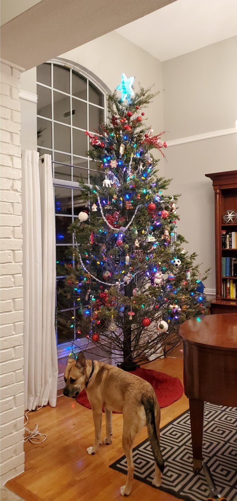Our Christmas Tree Is A Scraggly Fire Hazard, And We Love It