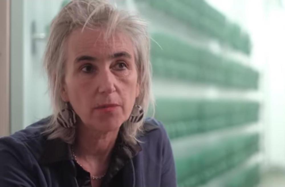 WHO Investigator Admitted Chinese Labs Manipulated Coronaviruses