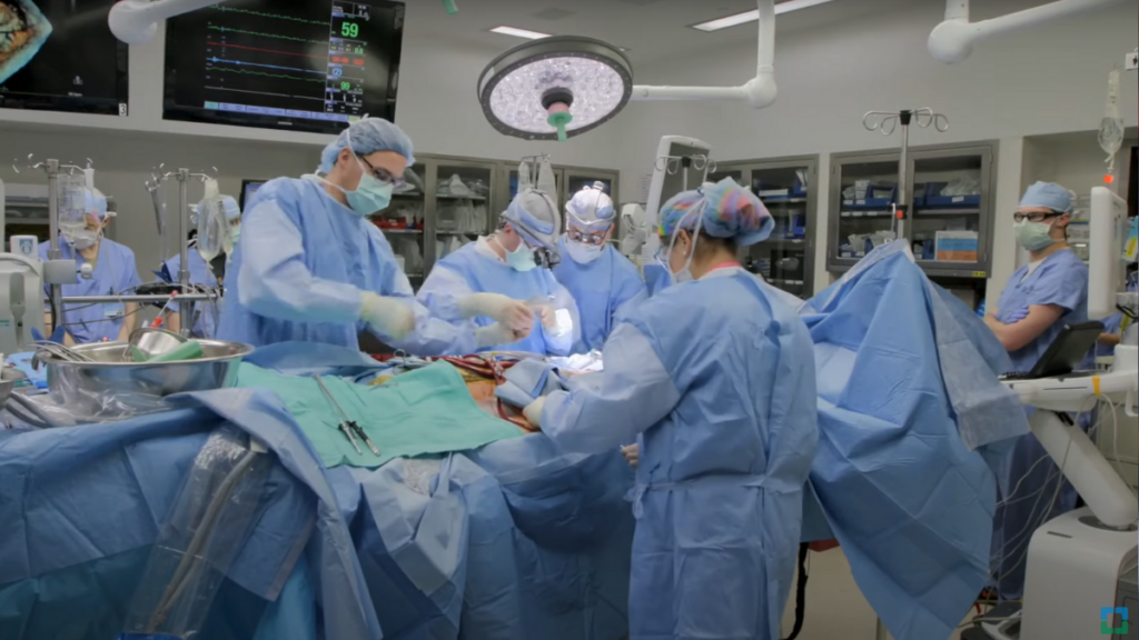 American Health Care Providers Offer Treatment Based On Race