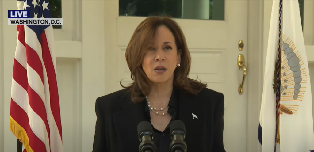 Debunked Hit Piece Gives Kamala Pretext To Justify Violence