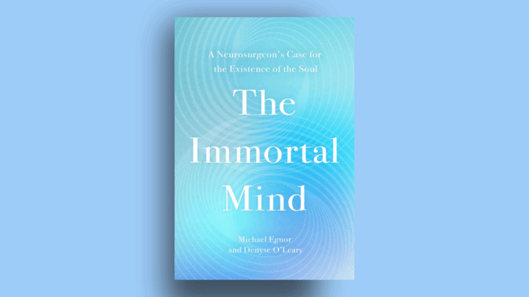 Neuroscience Offers Evidence For The Existence Of The Soul