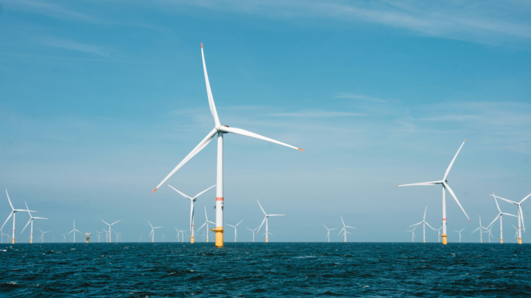 Trump's Right To Ditch Wind Farms That Kill Wildlife, Don't Work